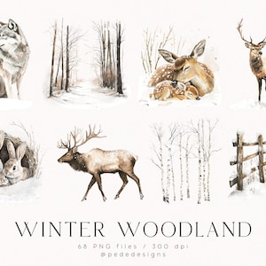 Winter Woodland, Watercolor Winter Clipart, Winter Animals, Woodland ...