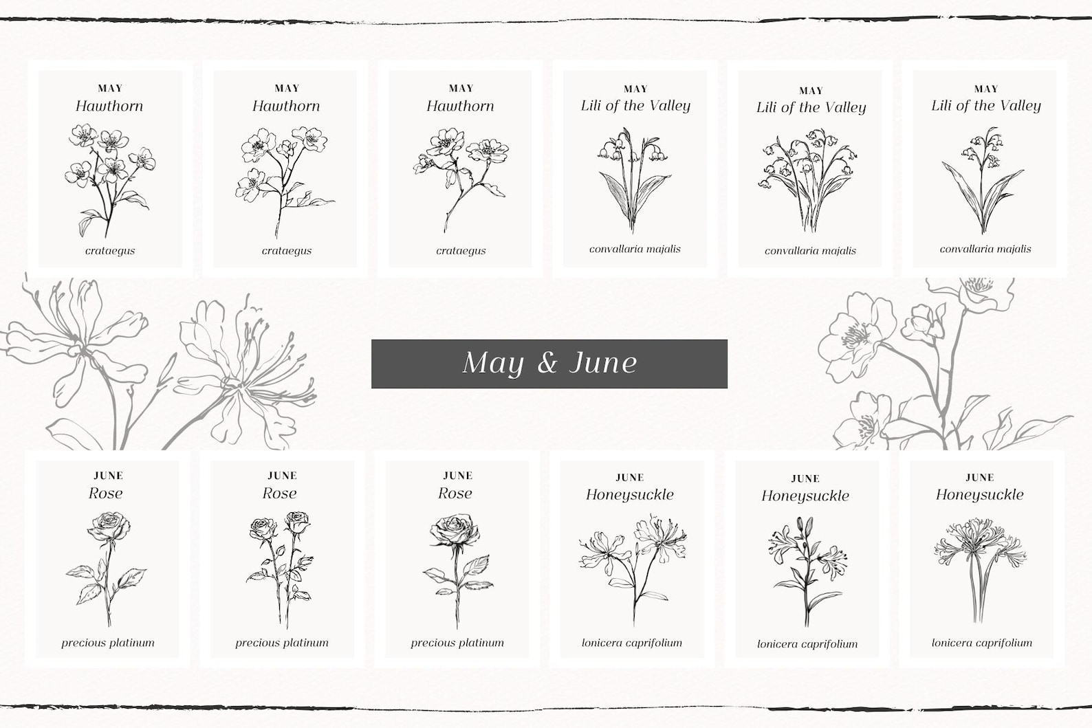 Birthday Flowers, Brush Line Art, Birth Flowers, Vector Files, Png ...