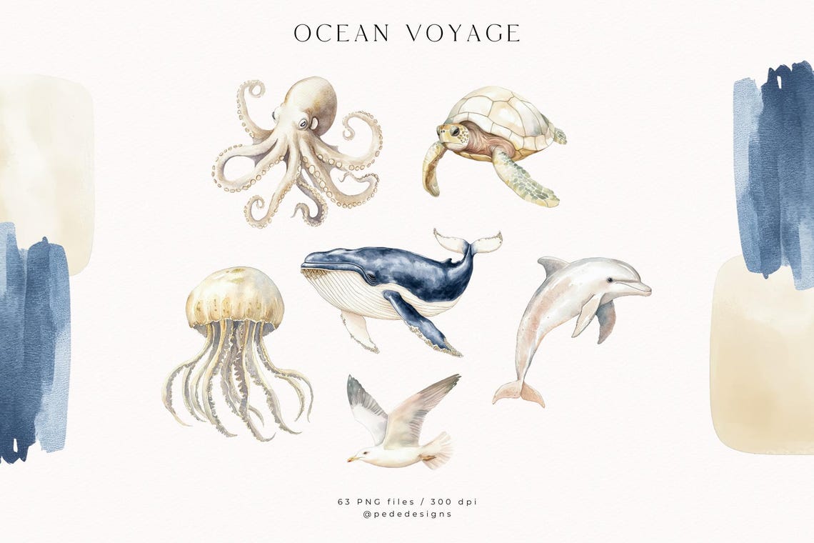 Ocean Voyage Collection, Watercolor Clipart, Nautical Png, Coastal ...