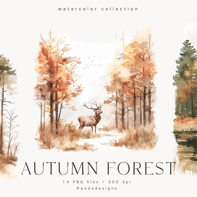 Fall Forest Wedding - Etsy