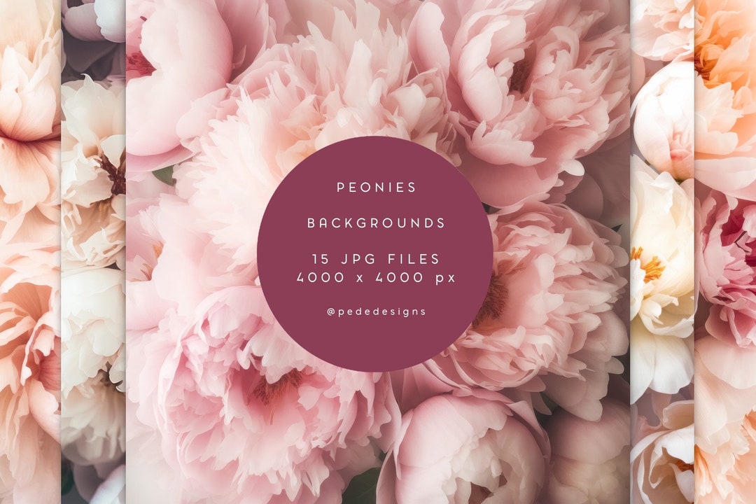 Peony Backgrounds, Peonies Backdrop, Pink Peonies, Peony Wallpaper ...