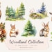 Watercolor Woodland Clip Art, Woodland Animals, Forest Animals, Nursery ...