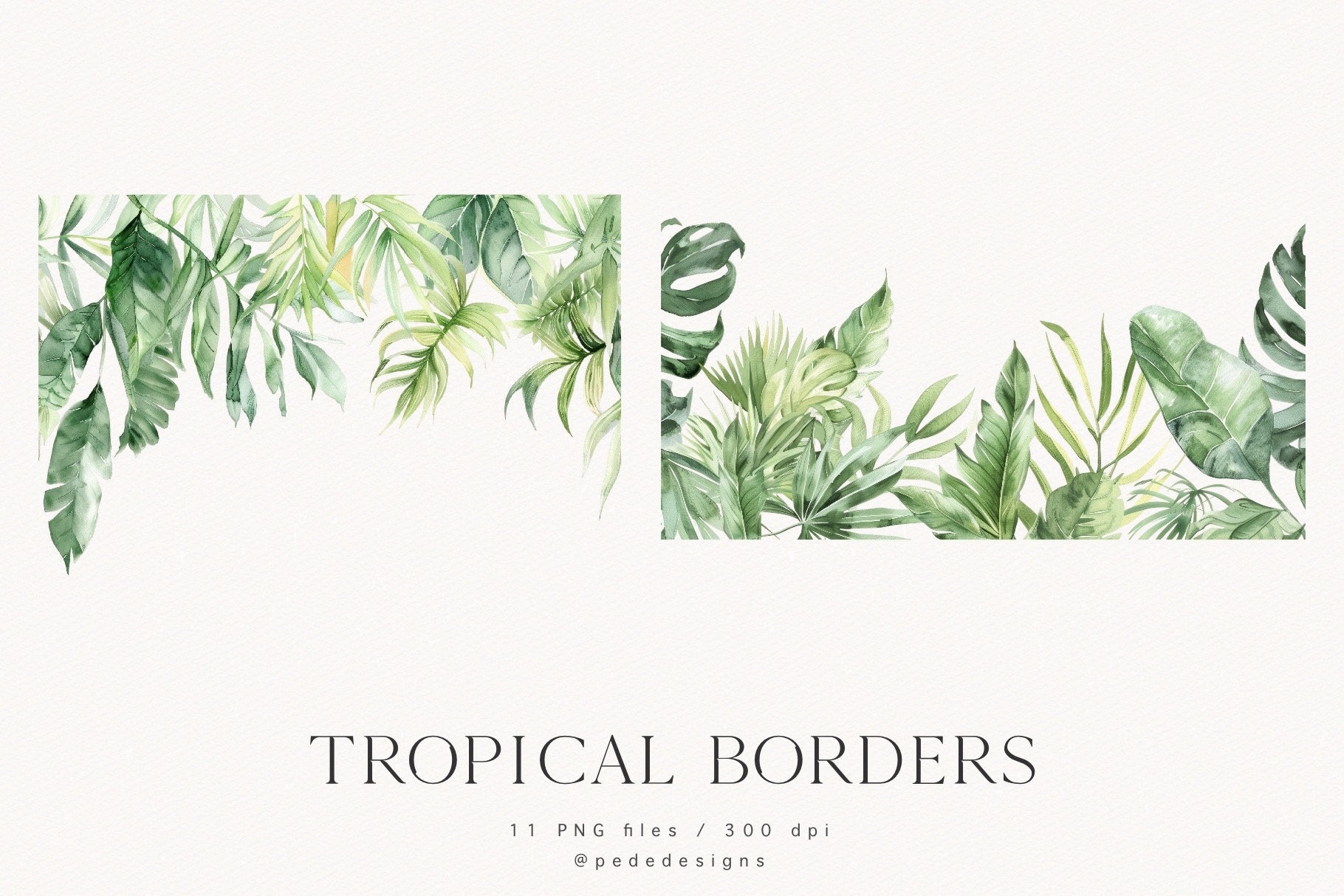 Watercolor Tropical Borders Clipart: Exotic Leaves, Wedding Design ...