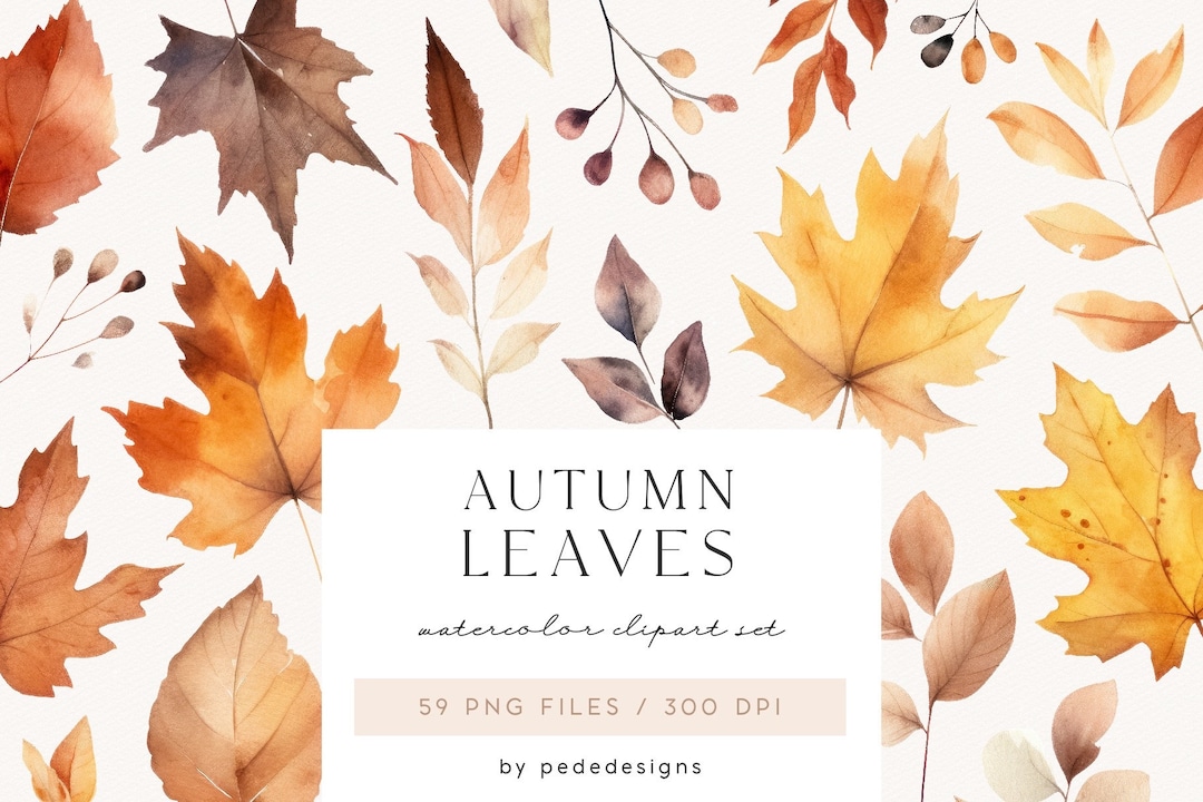 Autumn Leaves, Watercolor Autumn Clip Art, Fall Leaves, Autumn Leaf ...