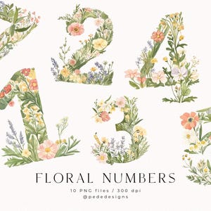 Floral Numbers Clipart Set, Spring Clipart, Party, Celebration ...