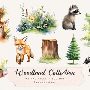 Watercolor Woodland Clip Art, Woodland Animals, Forest Animals, Nursery ...