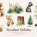 Watercolor Woodland Clip Art, Woodland Animals, Forest Animals, Nursery ...