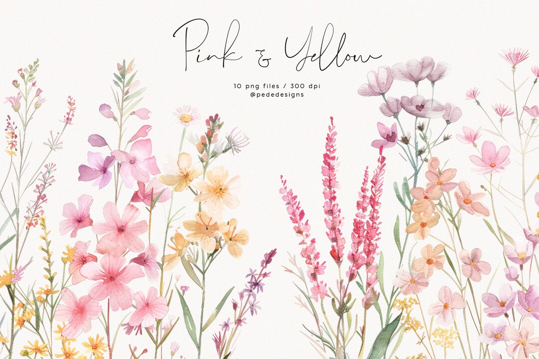 Pink & Yellow, Watercolor Meadow Clipart, Watercolor Wild Floral ...