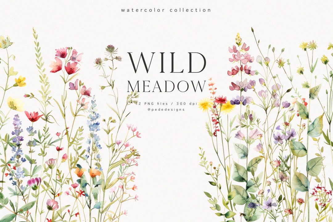 Wild Meadow, Watercolor Meadow Clipart, Watercolor Wild Floral, Floral ...