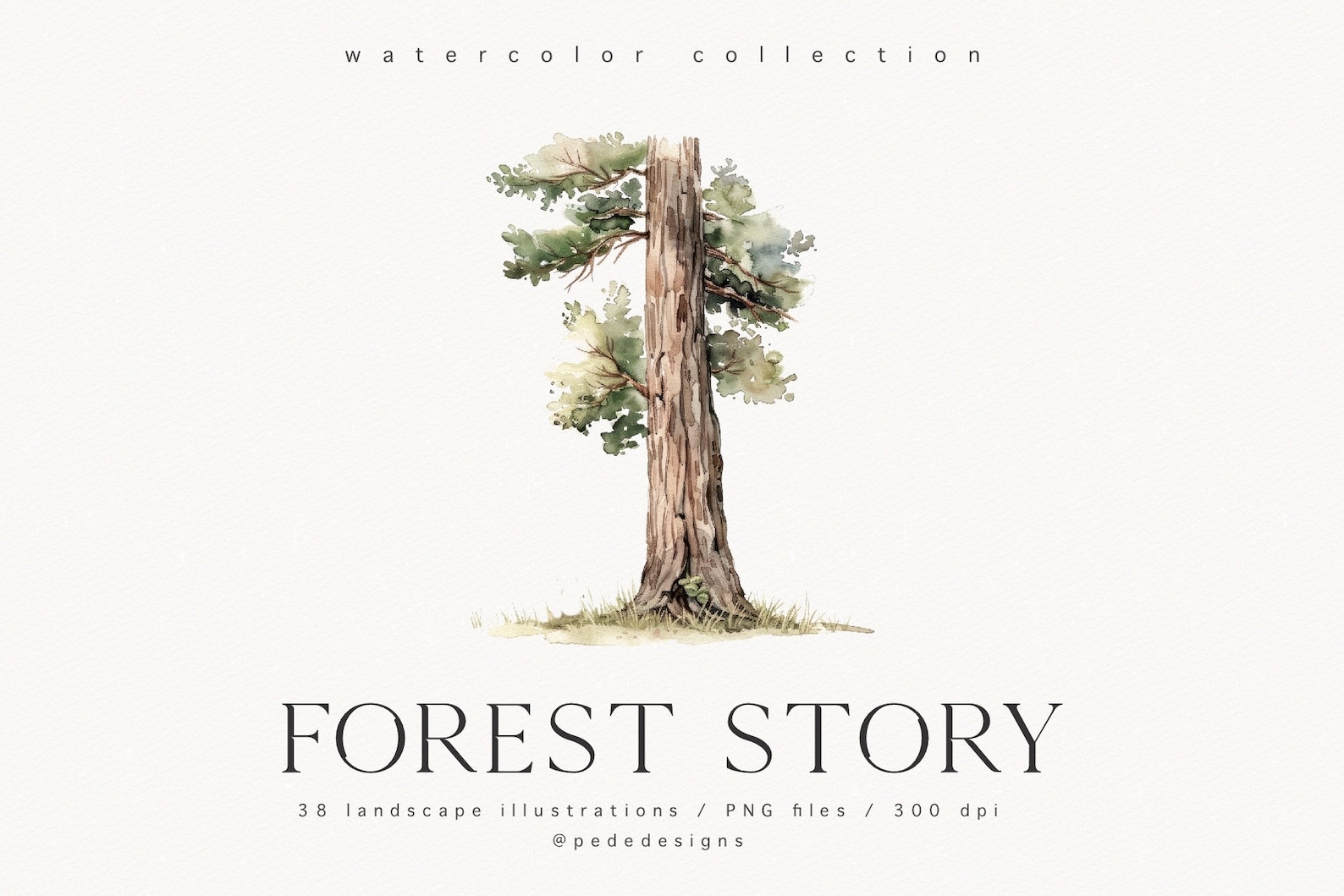 Watercolor Landscape Illustrations - Forest Story Collection, Woodland ...