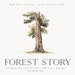Watercolor Landscape Illustrations - Forest Story Collection, Woodland ...