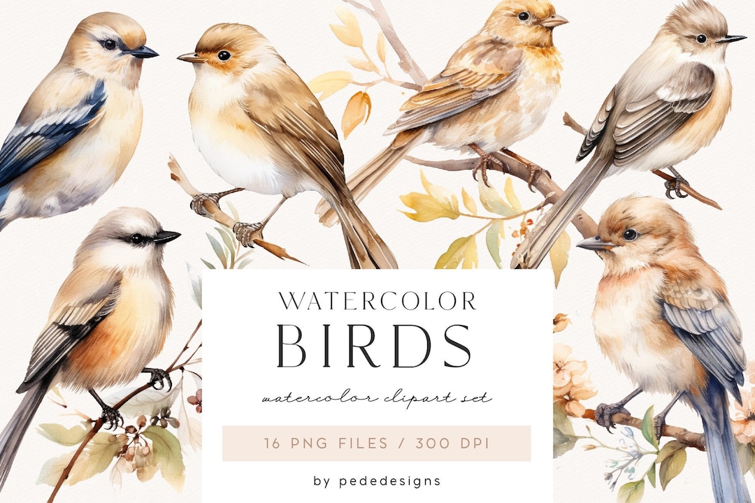 Watercolor Birds Clipart, Watercolor Vintage, Bird Png, Bird ...