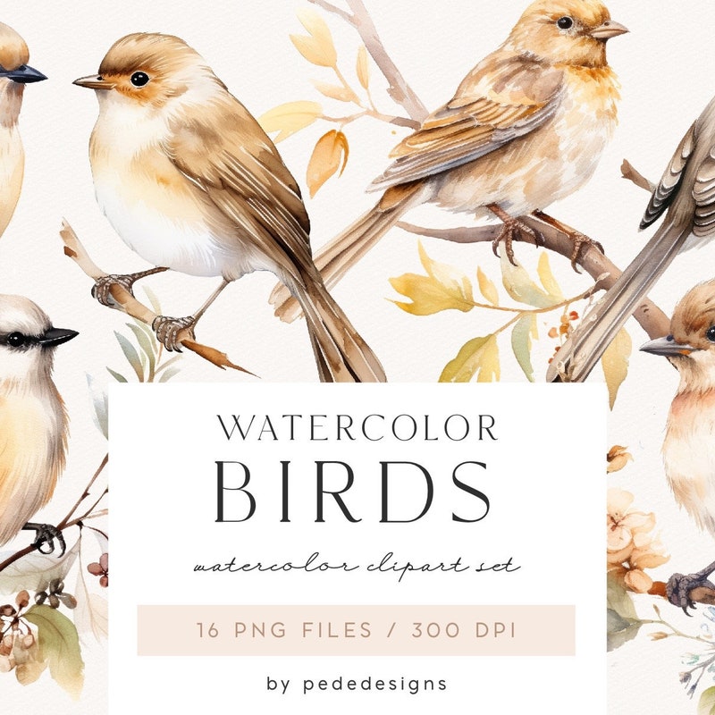 Bird Watercolor - Etsy