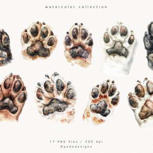 Dog's Paw Illustration, Watercolor Puppy Clipart, Dogs Paw Graphics ...