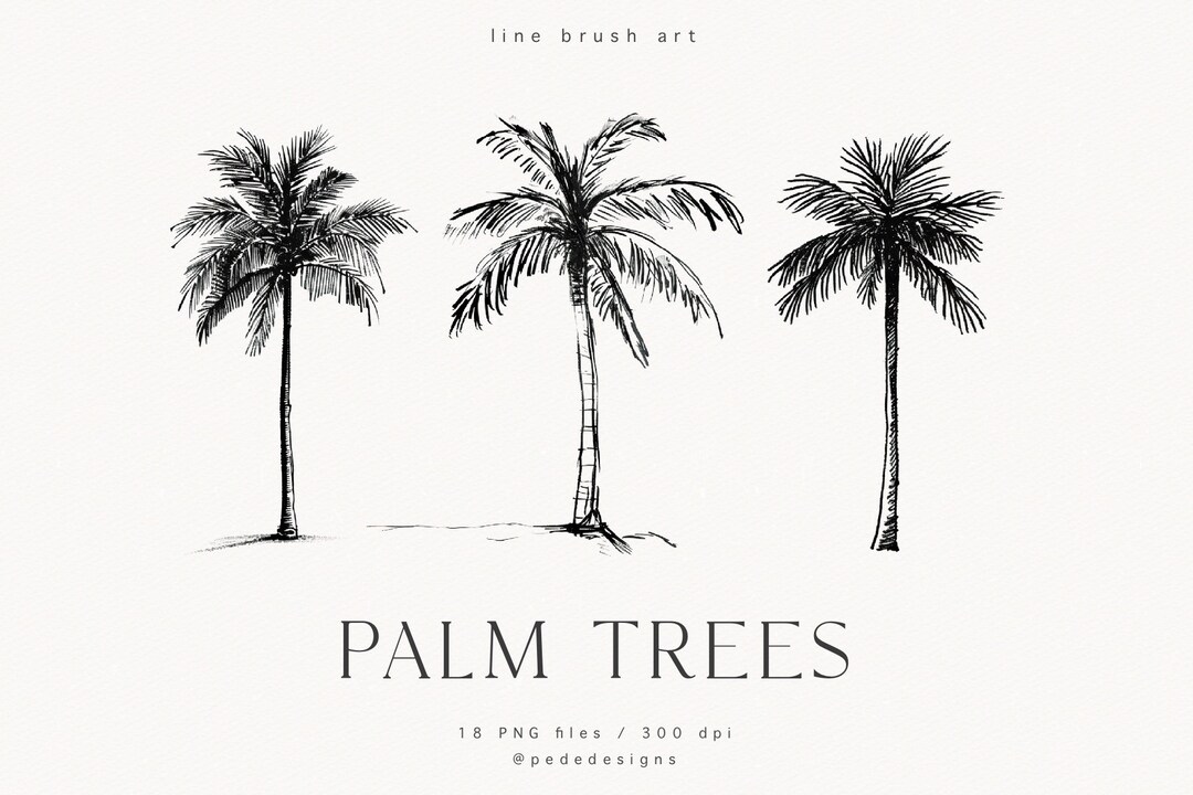 Line Brush Art, Palm Trees Clipart, Exotic Graphics, Line Art, Fine ...