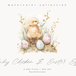 Baby Chicken & Easter Eggs Clipart, Watercolor Chicken, Spring Png ...