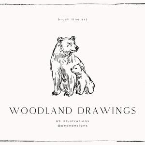Woodland Drawings, Brush Line Art, Forest Clipart, Vector Files, Png ...