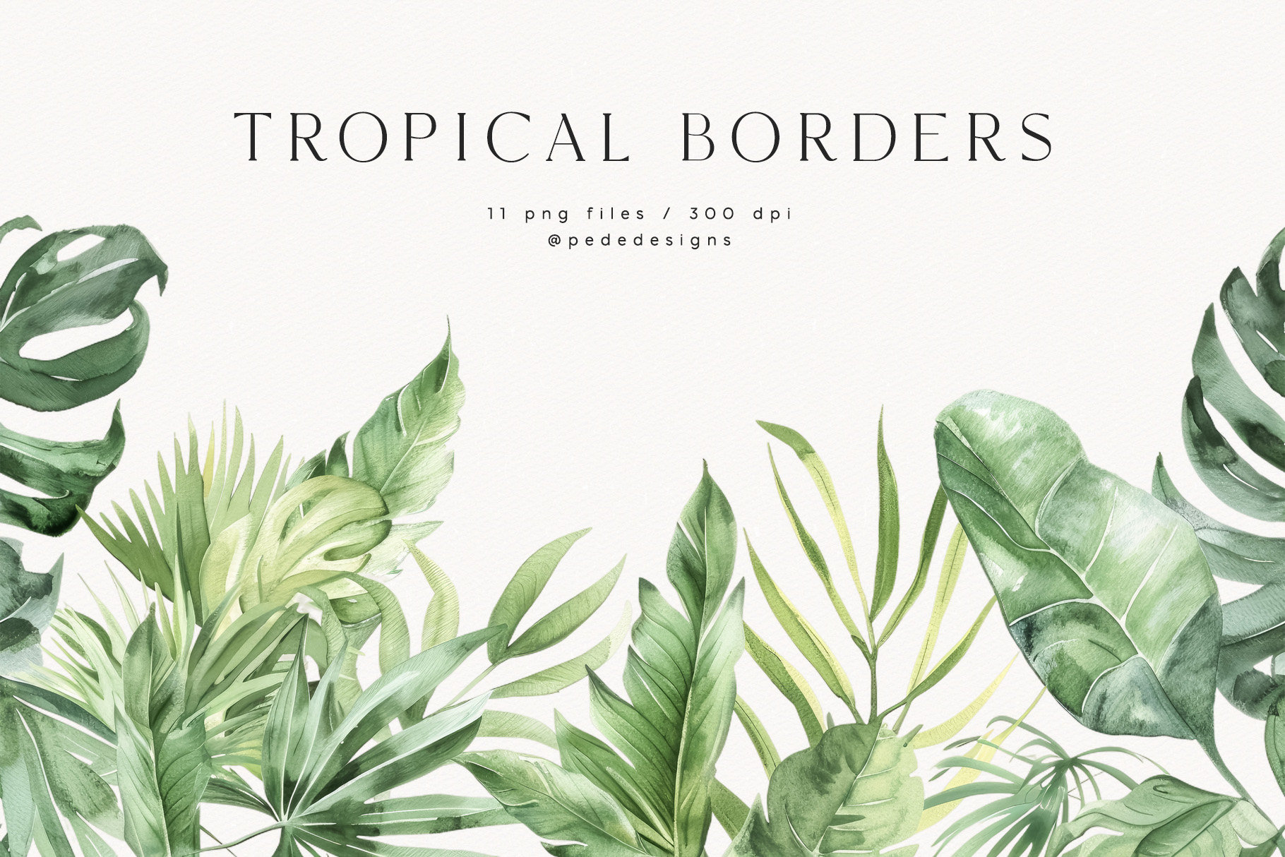 Watercolor Tropical Borders Clipart: Exotic Leaves, Wedding Design ...