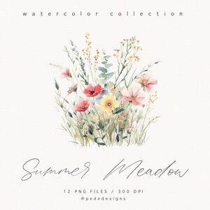 Summer Meadow, Watercolor Wild Flowers Clipart, Watercolor Floral ...