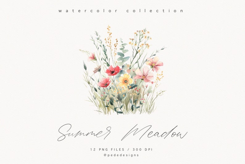 Summer Meadow, Watercolor Wild Flowers Clipart, Watercolor Floral ...