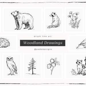 Woodland Drawings, Brush Line Art, Forest Clipart, Vector Files, Png ...