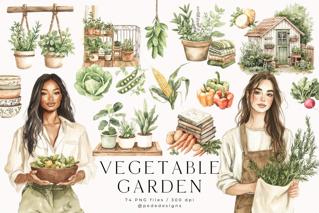 Vegetable Garden Watercolor Clipart – Cottage Vegetables, Herbs, Garden ...