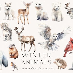 Watercolor Winter Animals Clipart, Arctic Animals, Woodland Animals ...
