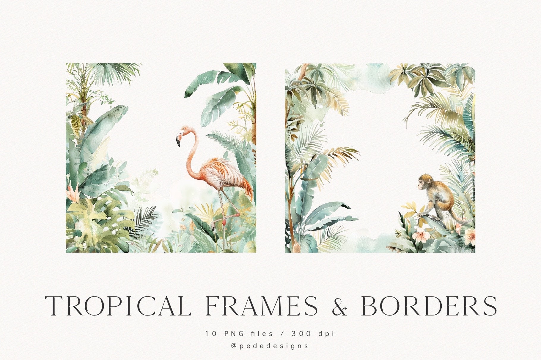 Tropical Frames & Borders, Watercolor Clipart, Exotic Background ...
