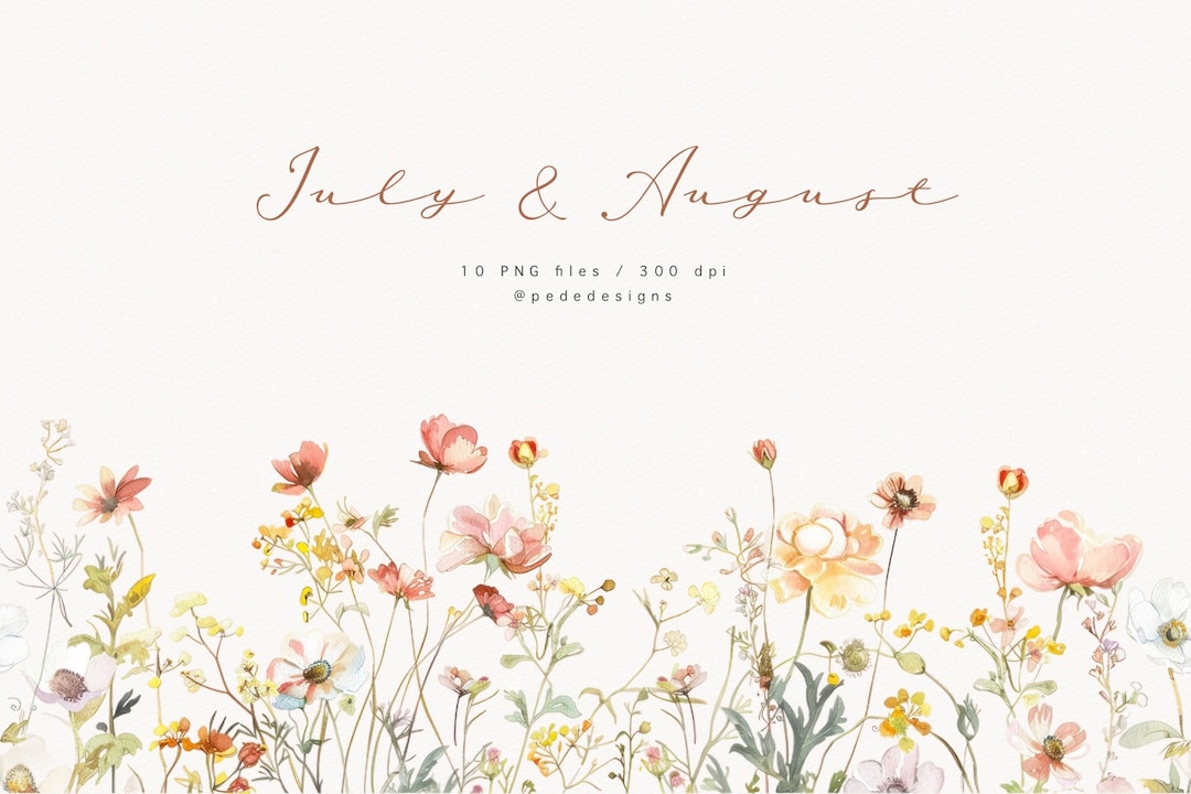July & August, Summer Meadow, Watercolor Wild Floral Border, Watercolor ...