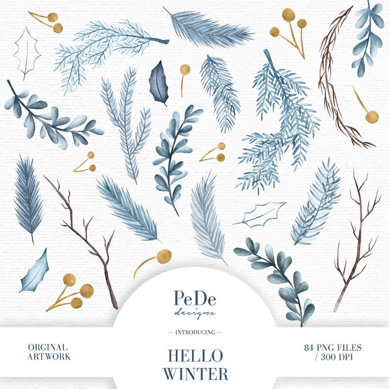 Hello Winter, Watercolor Winter Clip Art, Winter Floral Cliparts ...