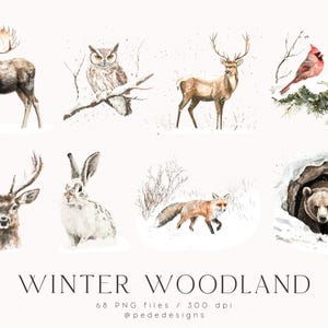 Winter Woodland, Watercolor Winter Clipart, Winter Animals, Woodland ...