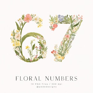 Floral Numbers Clipart Set, Spring Clipart, Party, Celebration ...