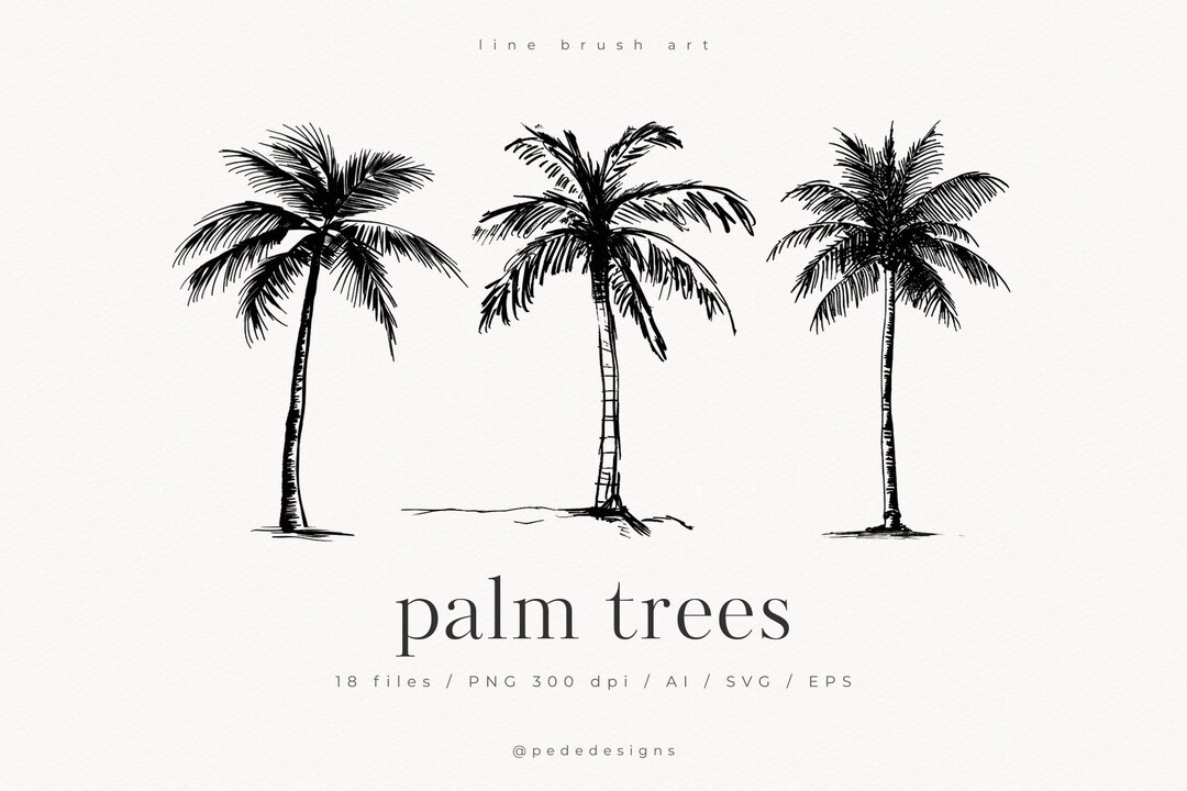 Line Brush Art, Palm Trees Clipart, Exotic Graphics, Line Art, Fine ...