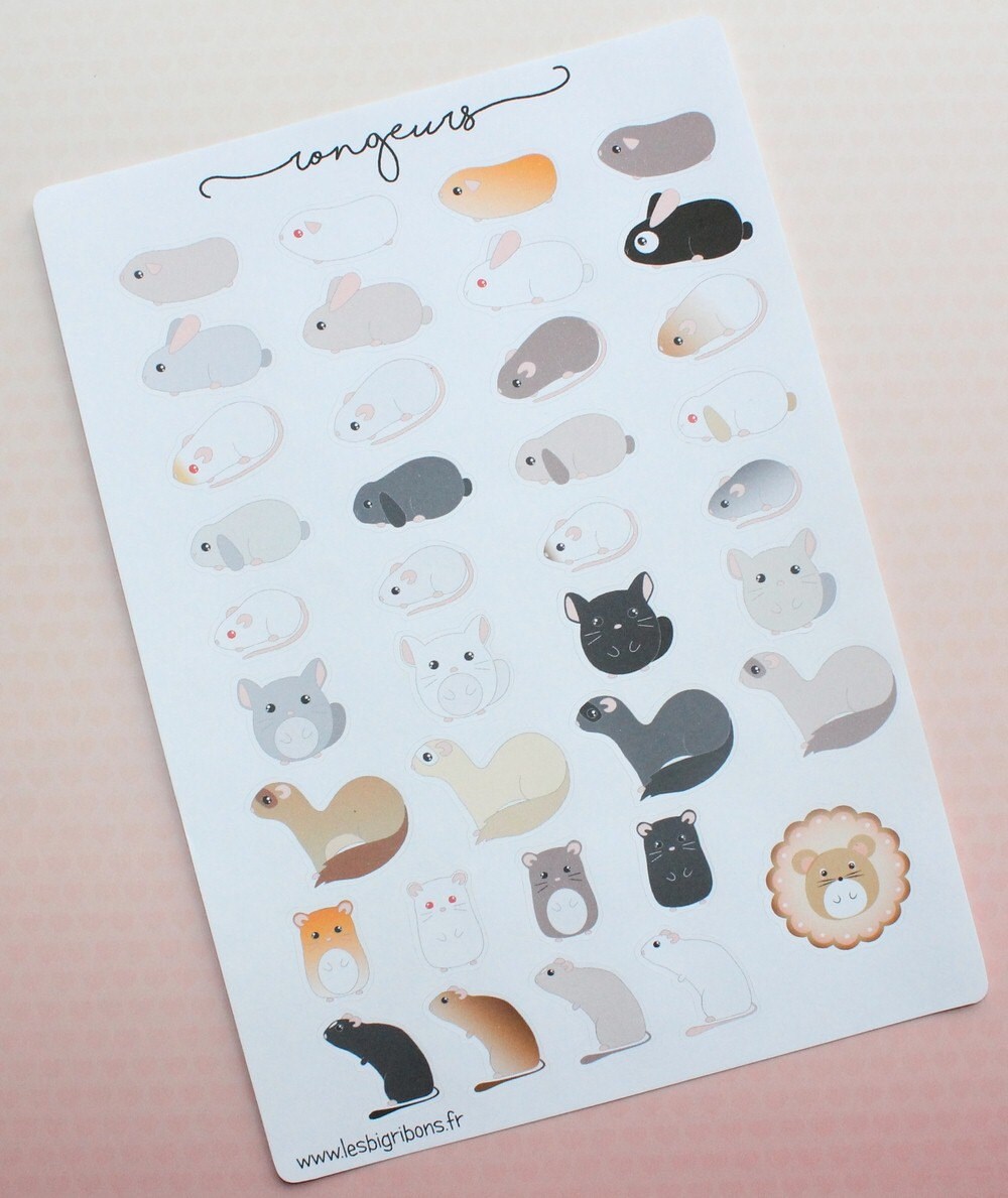 Stickers Rodents Sticker Board Rodents and Small Animals - Etsy