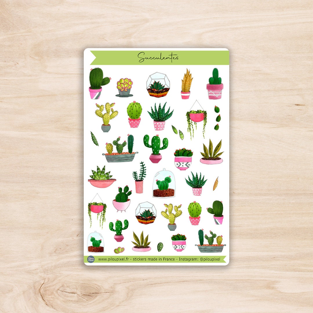 Succulent Stickers - Sheet of Succulents and Cacti Stickers - Etsy