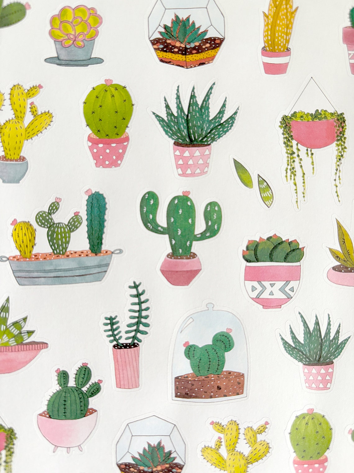 Succulent Stickers - Sheet of Succulents and Cacti Stickers - Etsy