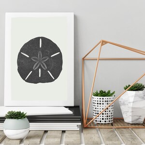 SAND DOLLAR Home Decor Beach Ocean Seaside Summer Winter Cottage Home ...