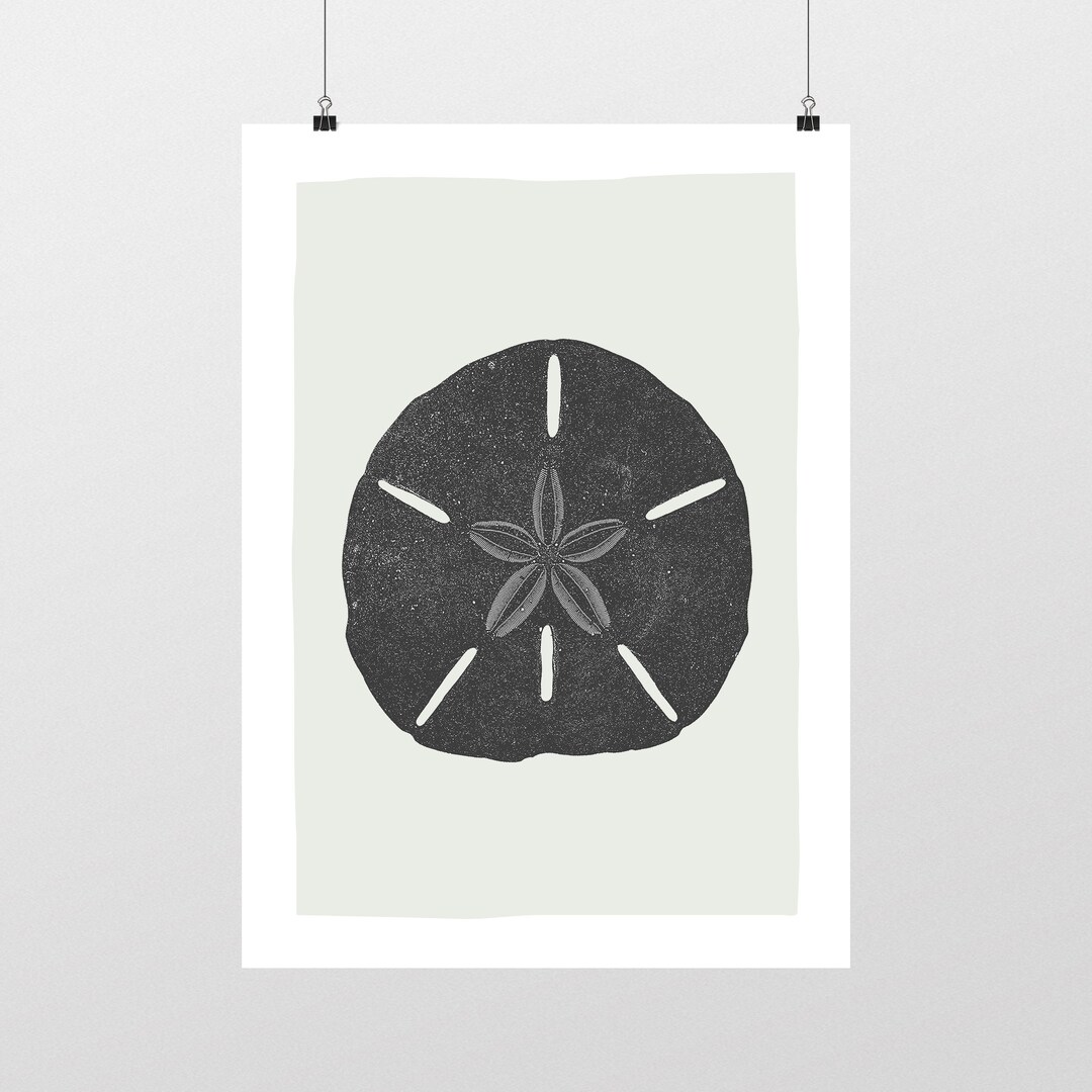 SAND DOLLAR Home Decor Beach Ocean Seaside Summer Winter Cottage Home ...
