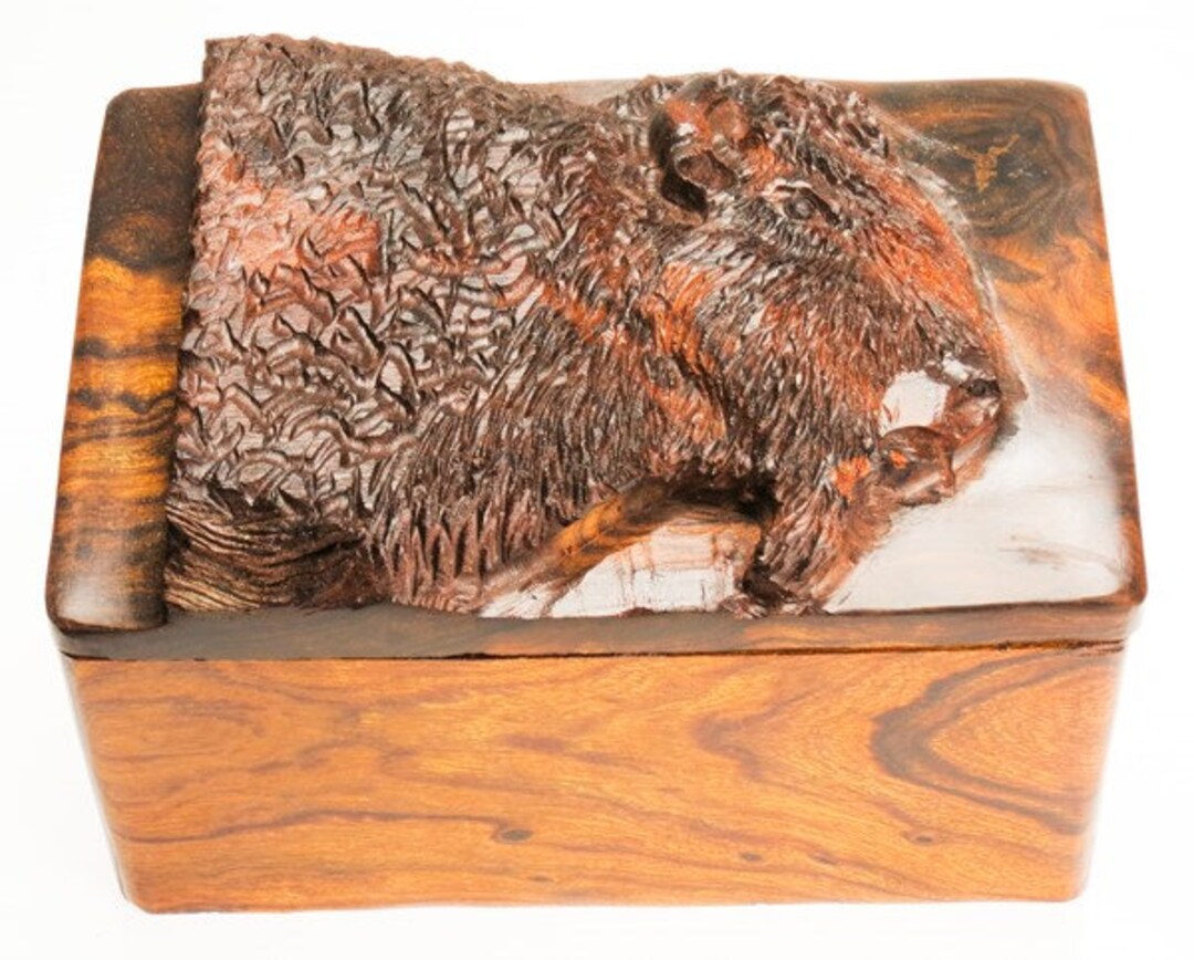 Desert Ironwood Buffalo Box Carving - 6" X 4" - Etsy