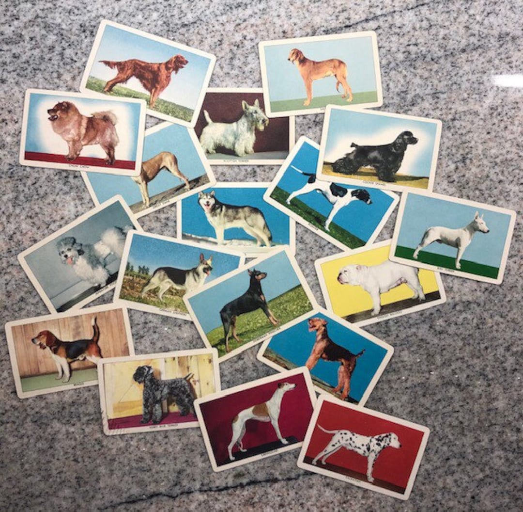 Set of 18 Vintage Dog Trading Cards - Etsy