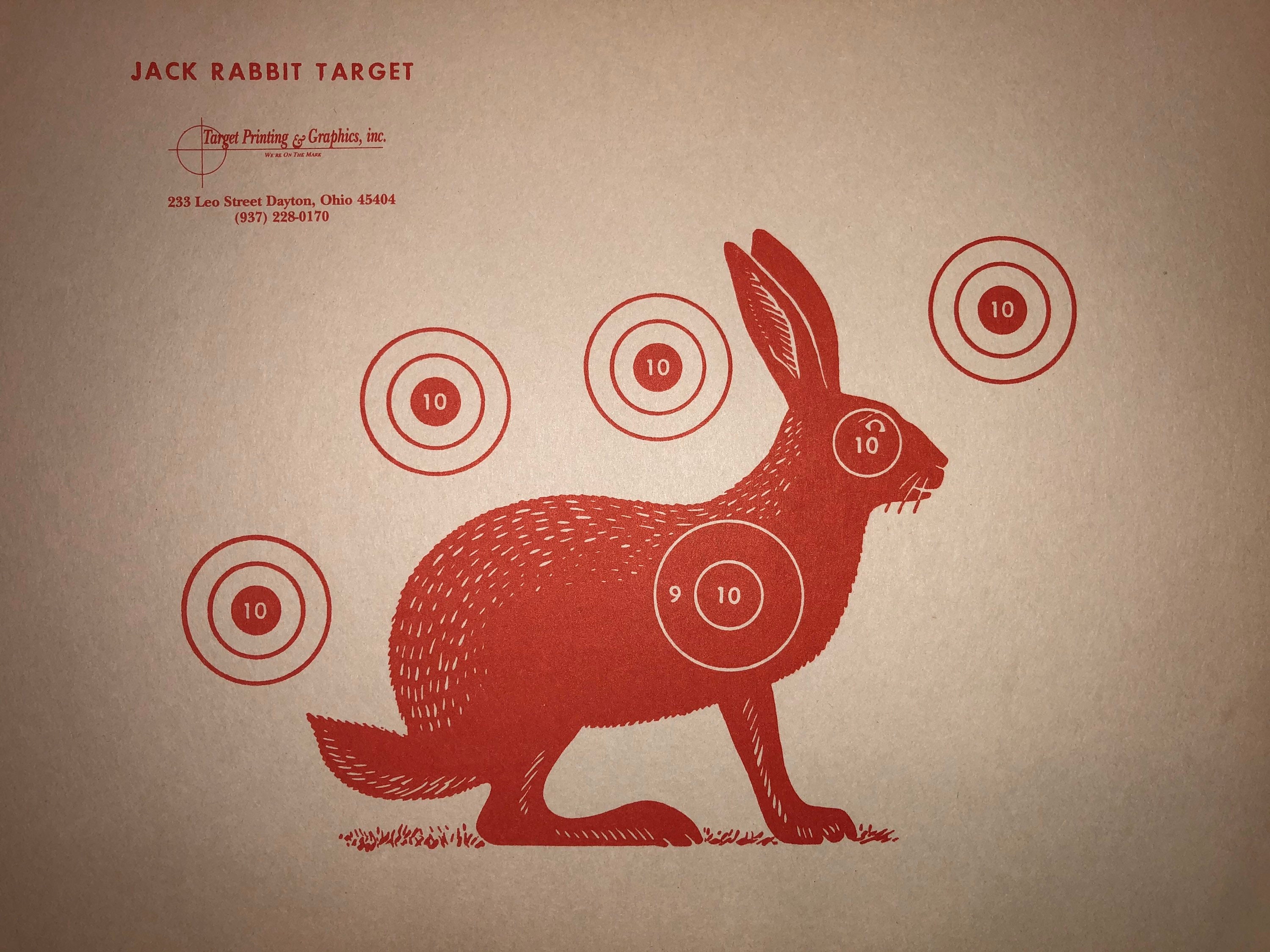 Vintage Rabbit Target Practice - Etsy