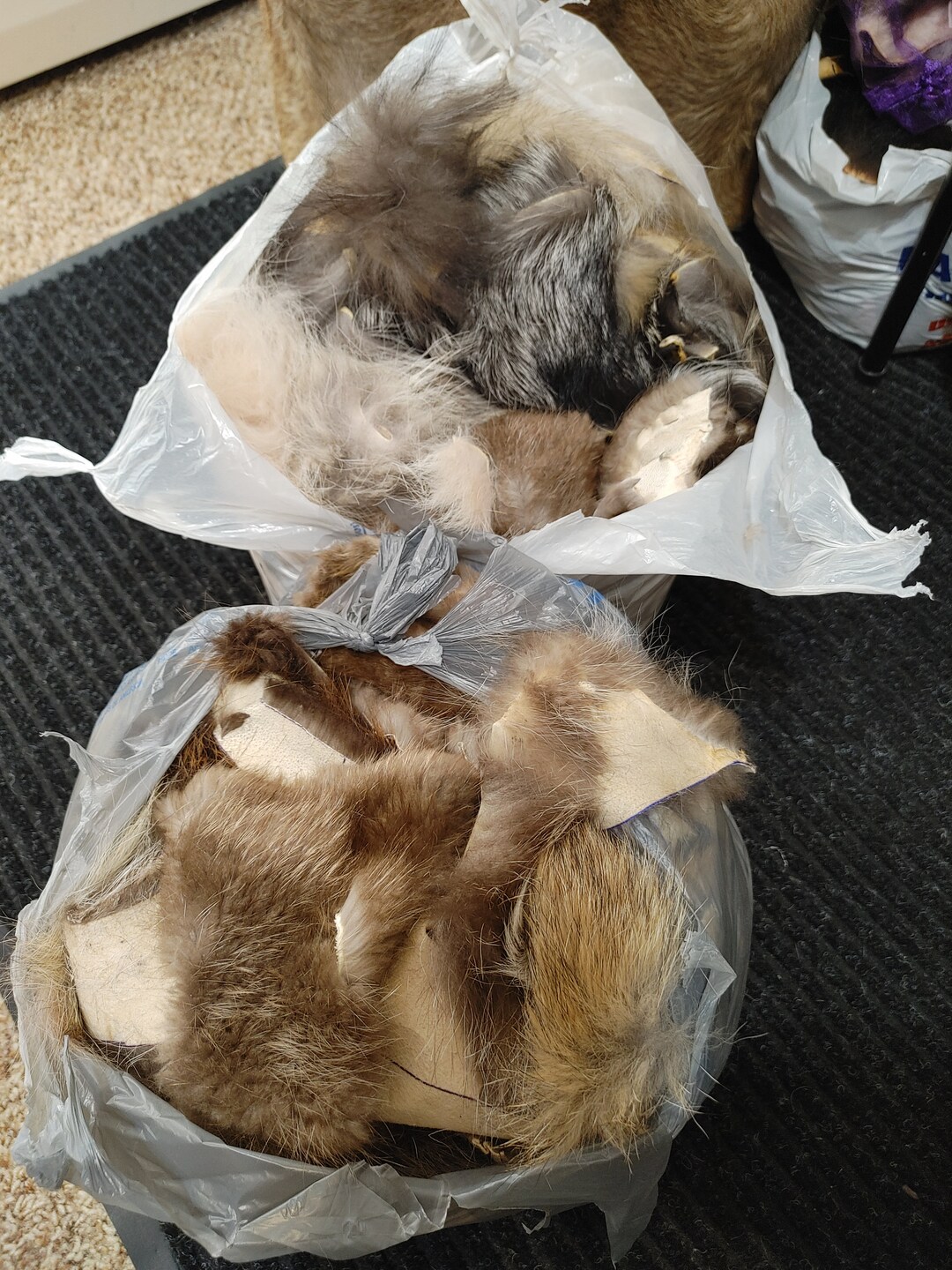 Bulk Tanned Animal Fur Scraps Assortment of Species rabbit, Possum ...