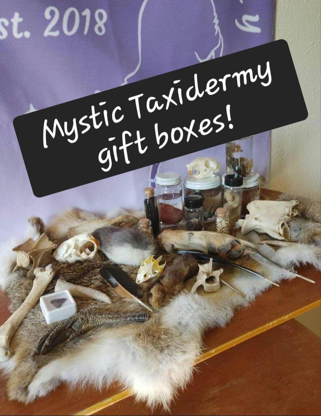 Taxidermy Vulture Culture Gift Boxes - Curated Oddities Themed Gift Box ...