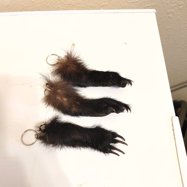 Taxidermy Keychain - Etsy