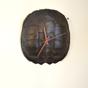 Snapping Turtle Shell Clock - Taxidermy Clock, Wall Hanging Decor ...