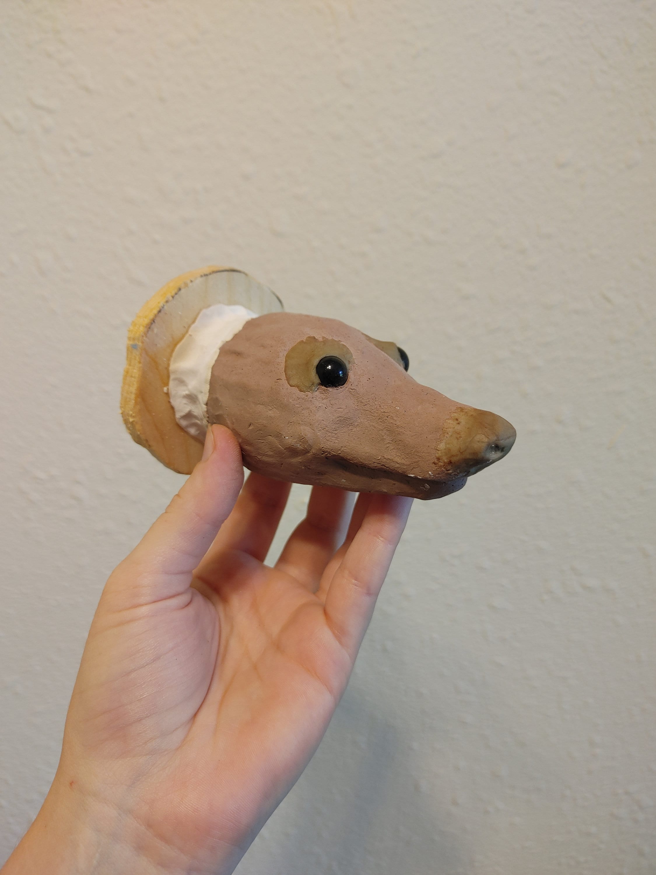 Possum Head Forms Mystic Taxidermy Exclusive - Etsy