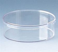 6 Round Clear Container Set - Etsy