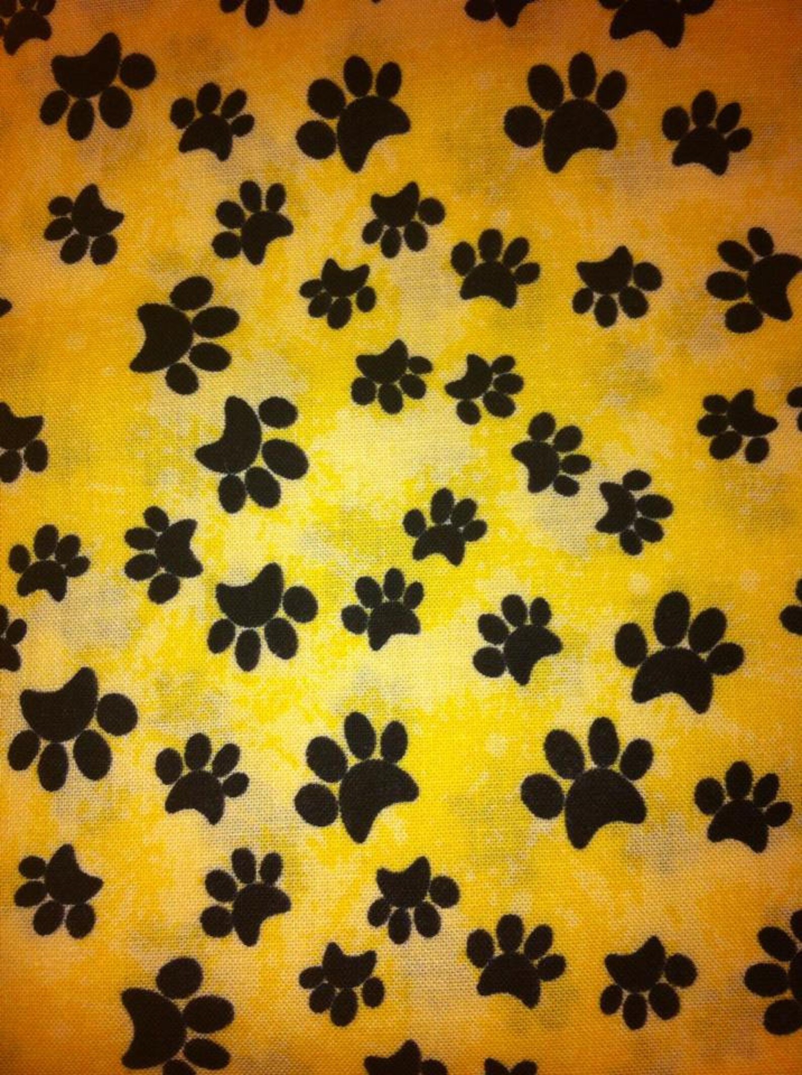 Black Paws - Etsy