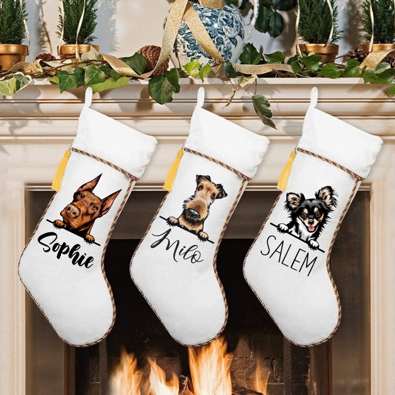 Dog Stocking - Etsy