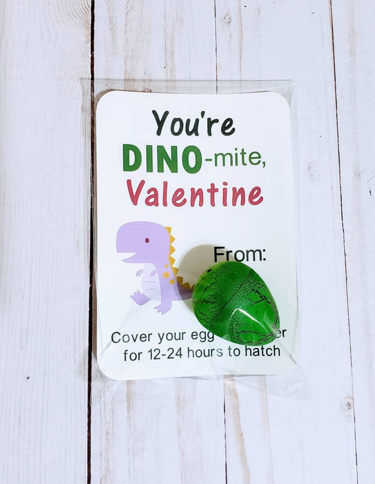 Dinosaur Valentines Kids Valentines Dinosaur Egg Valentines | Etsy